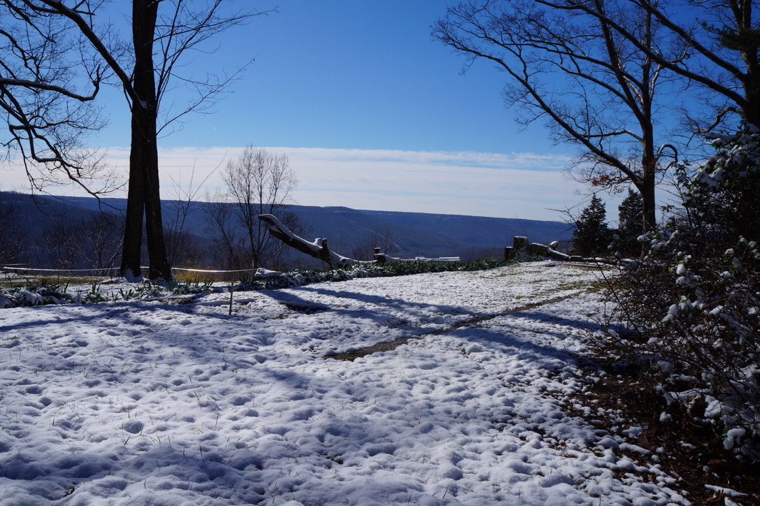 writer, publisher – With Writing Companion and Author Heather Jones